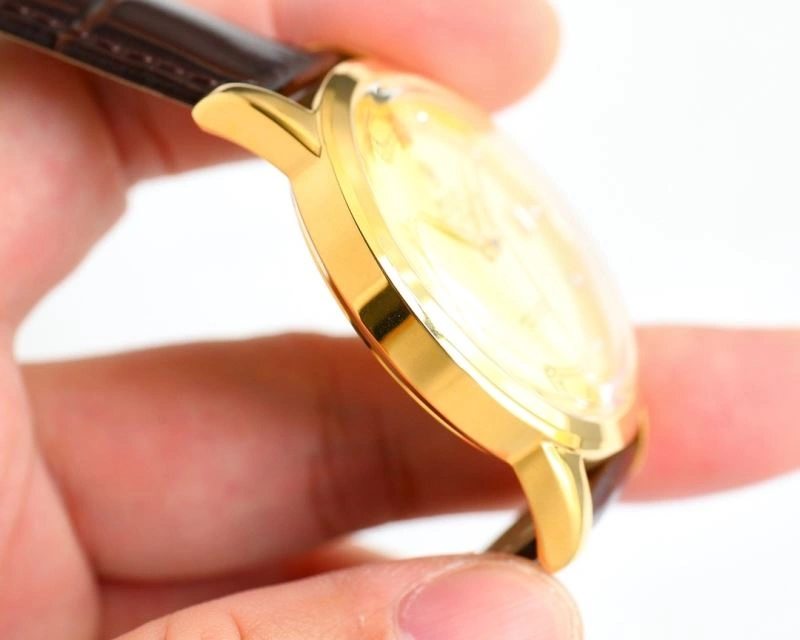 Indistinguishable ROLEX Watches