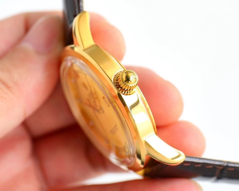 Indistinguishable ROLEX Watches