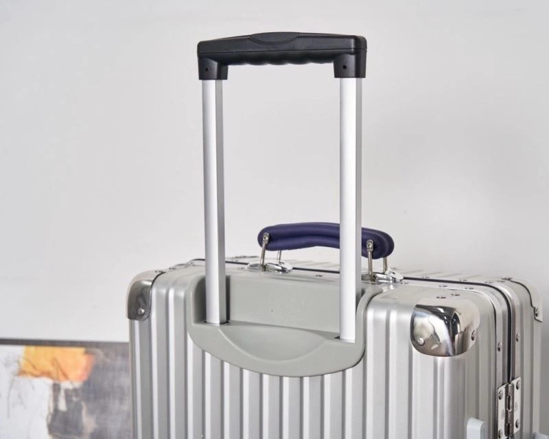 Value-priced Rimowa Suitcase