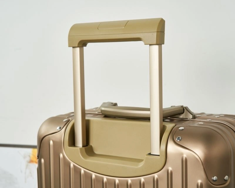 Budget-friendly Rimowa Suitcase