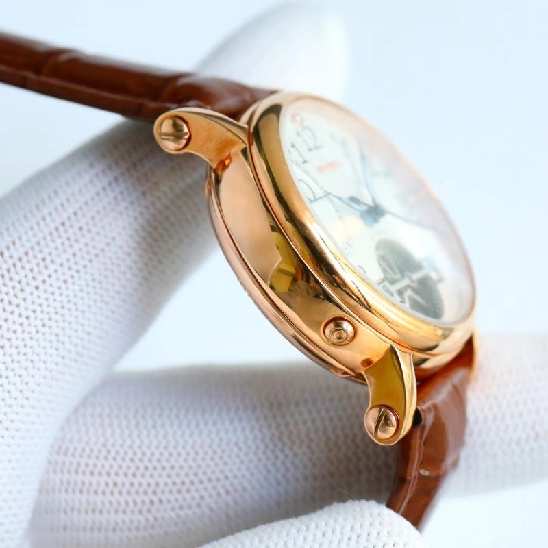 Discounted SAN MAACO Watches