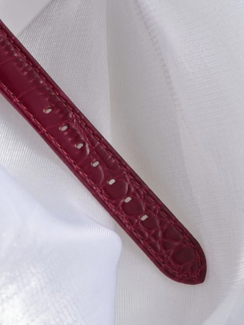 Brand-original SWAROVSKI Watches
