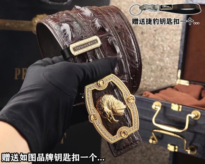 Accurate model Stefano Ricci Belts