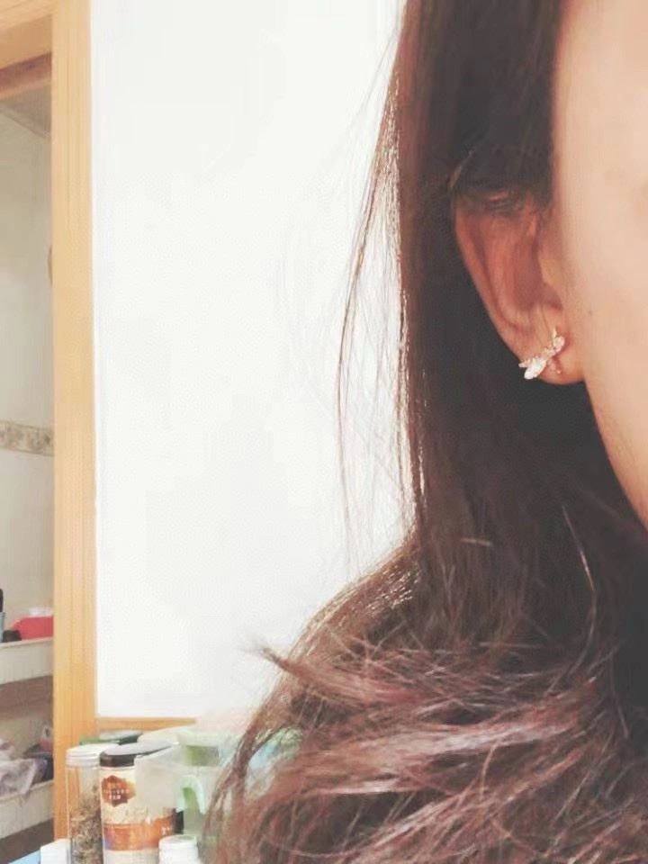 Top mirror Swarovski Earrings