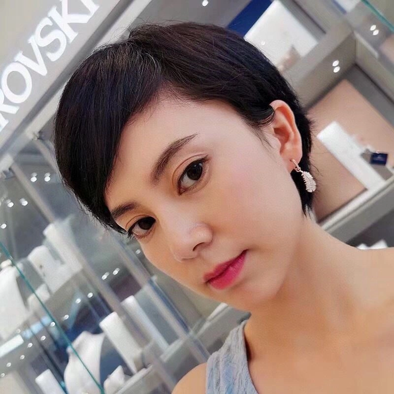 Cut-rate Swarovski Earrings