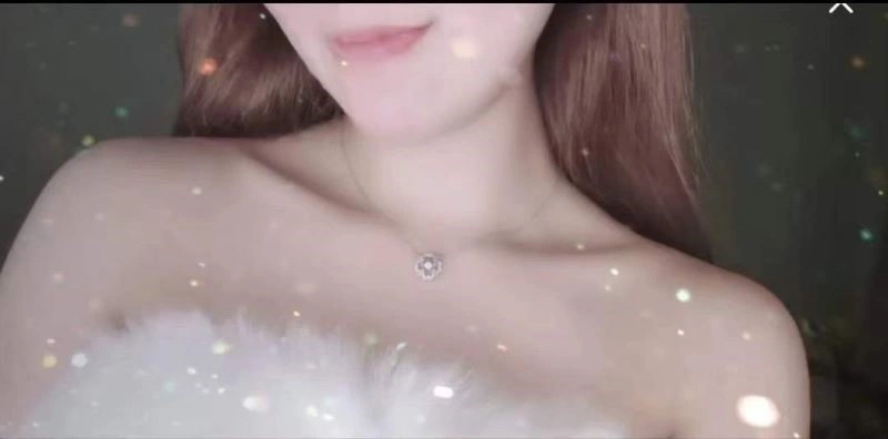 Budget-friendly Swarovski Necklaces