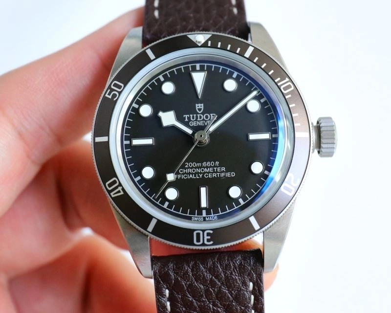 Economical TUDOR Watches