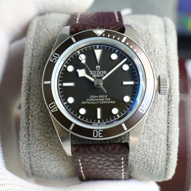 Indistinguishable TUDOR Watches