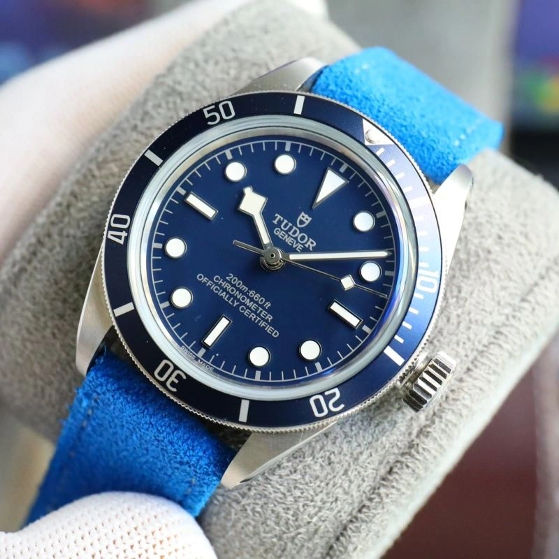 Indistinguishable TUDOR Watches