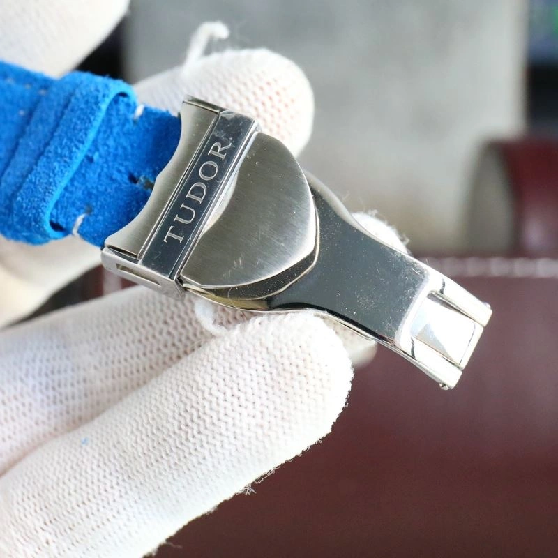 Indistinguishable TUDOR Watches