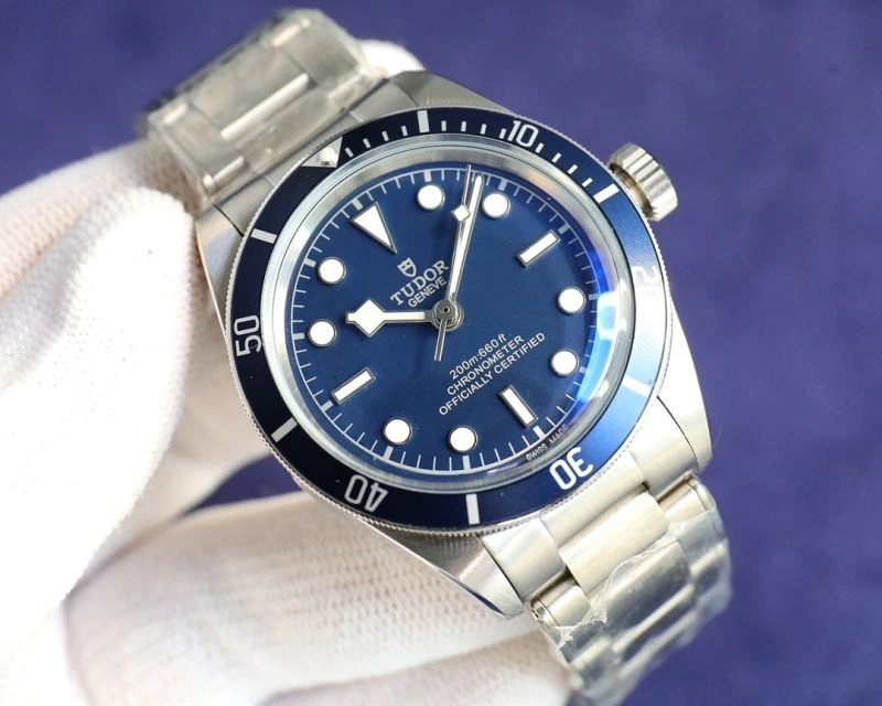 Indistinguishable TUDOR Watches