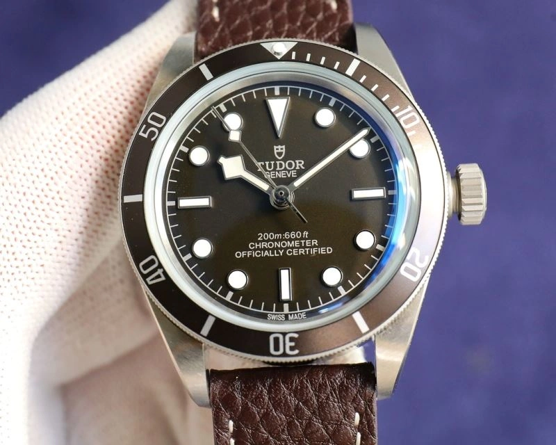 Budget-friendly TUDOR Watches