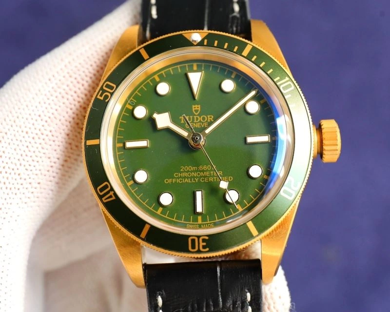 Budget-friendly TUDOR Watches