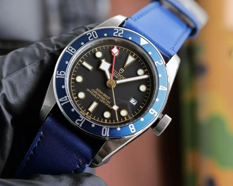 Indistinguishable TUDOR Watches