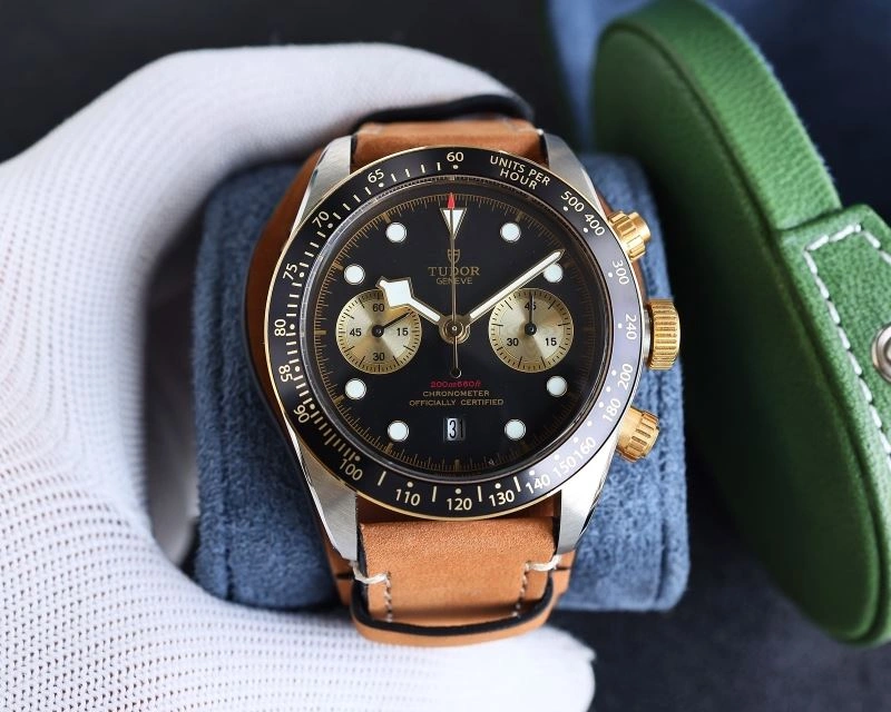 Economical TUDOR Watches