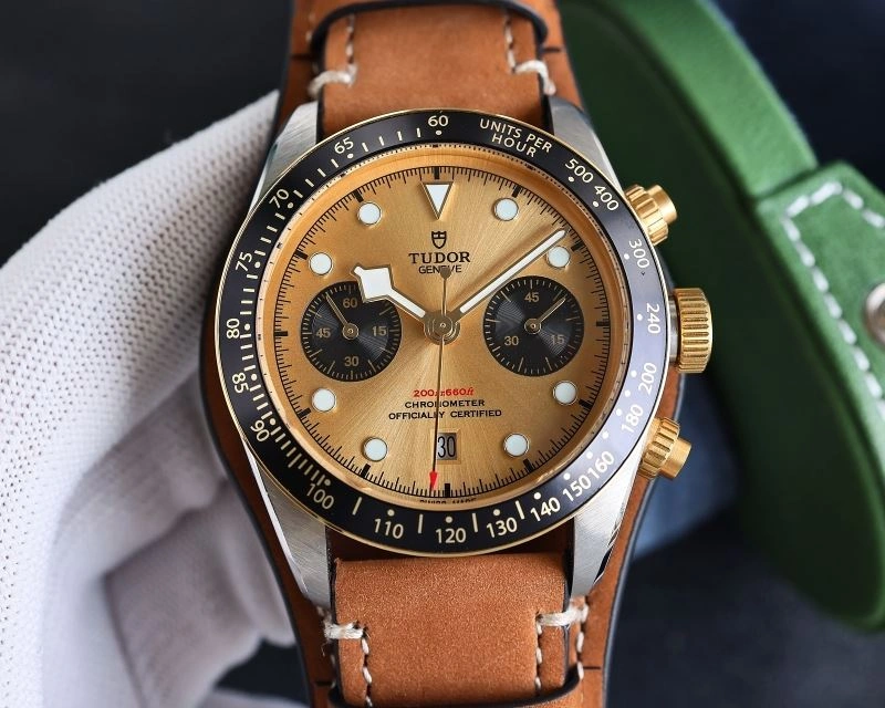Economical TUDOR Watches