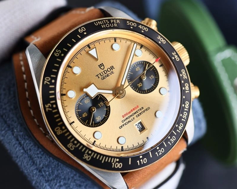 Economical TUDOR Watches