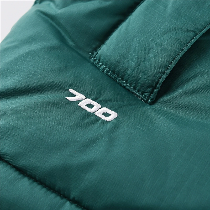 Budget-friendly The North Face Down Jackets