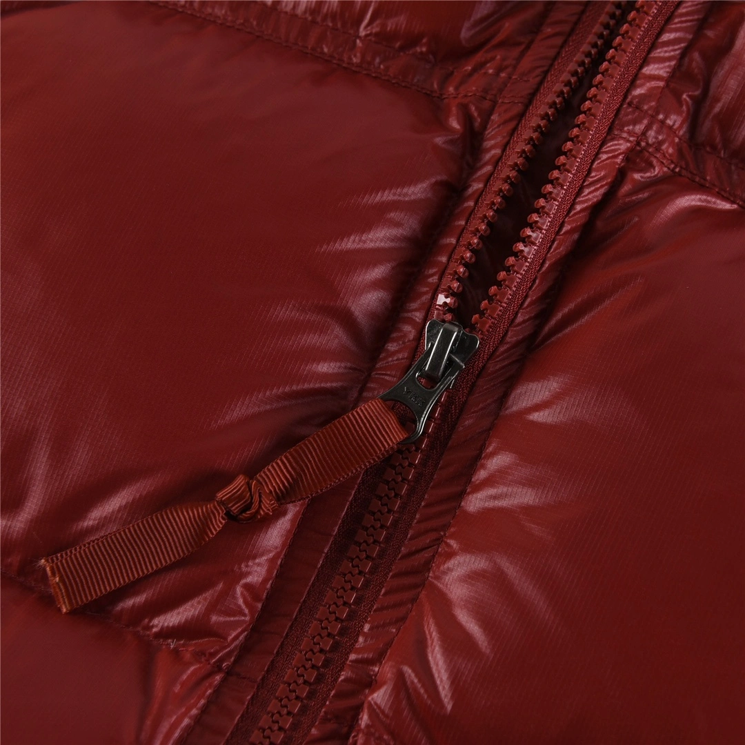 Economical The North Face Down Jackets