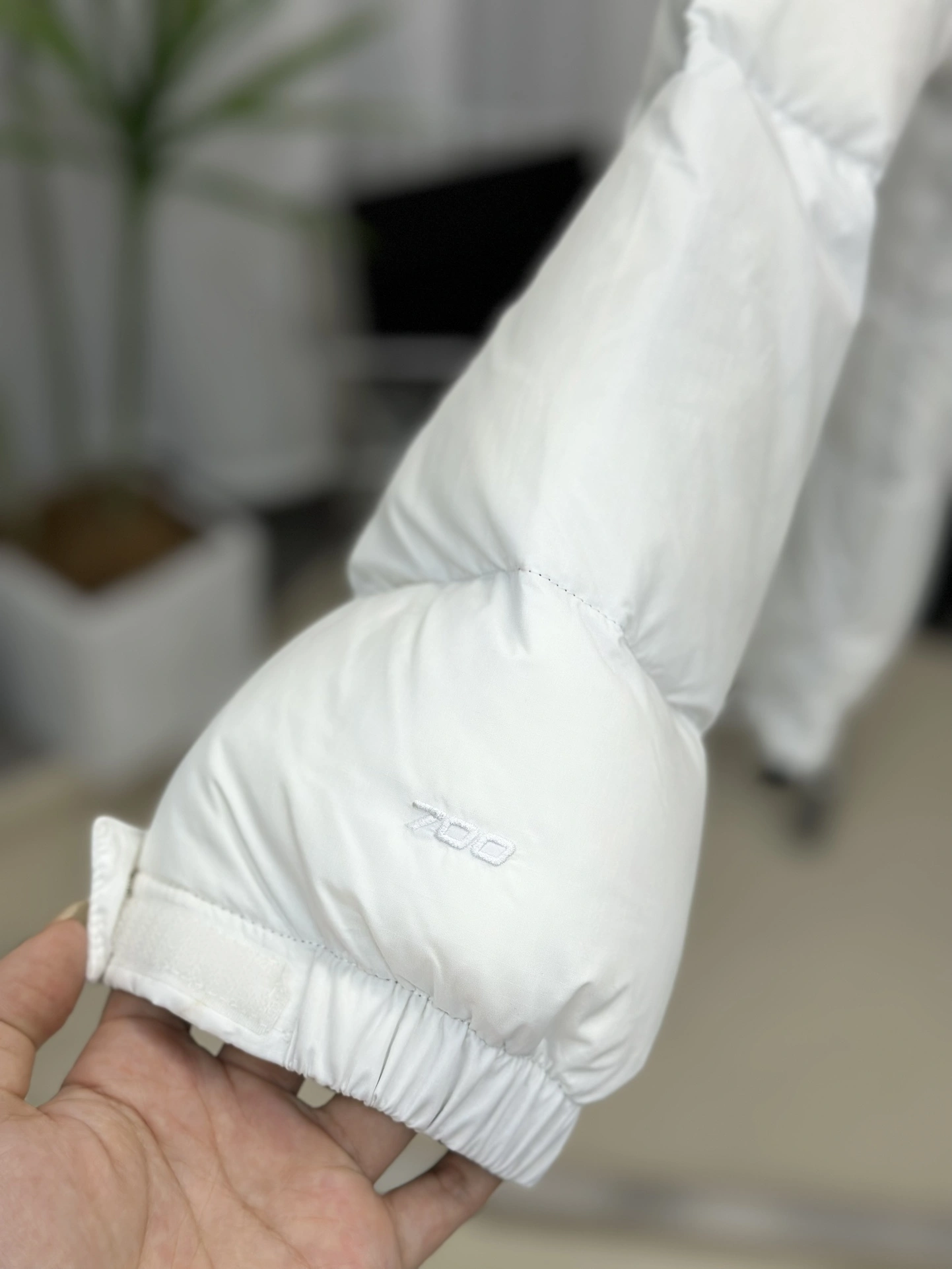 Top match The North Face Down Jackets