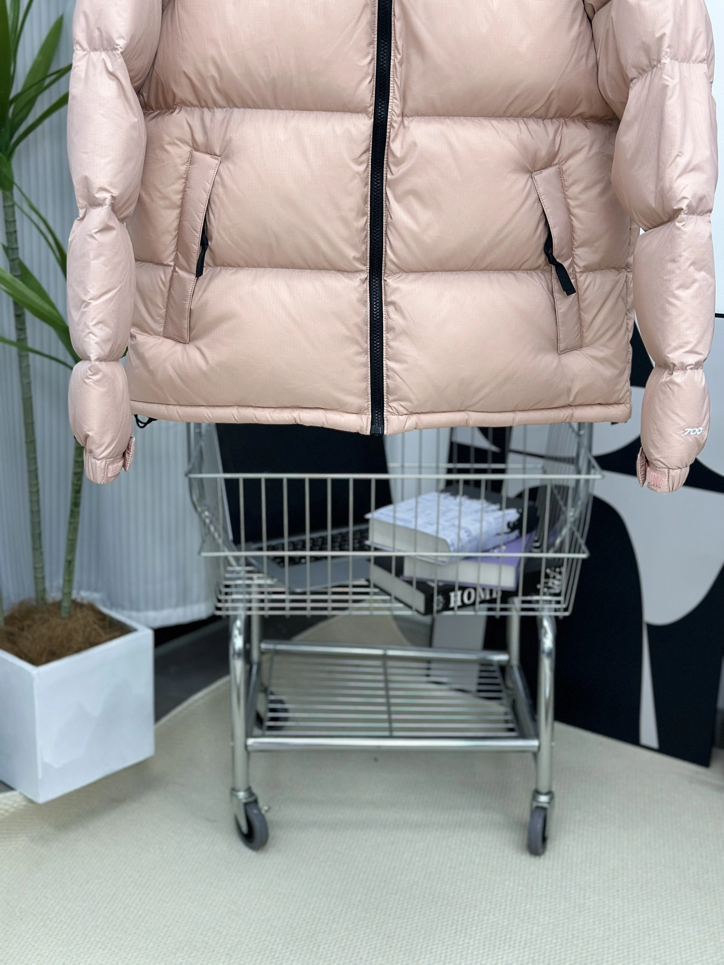 Official The North Face Down Jackets