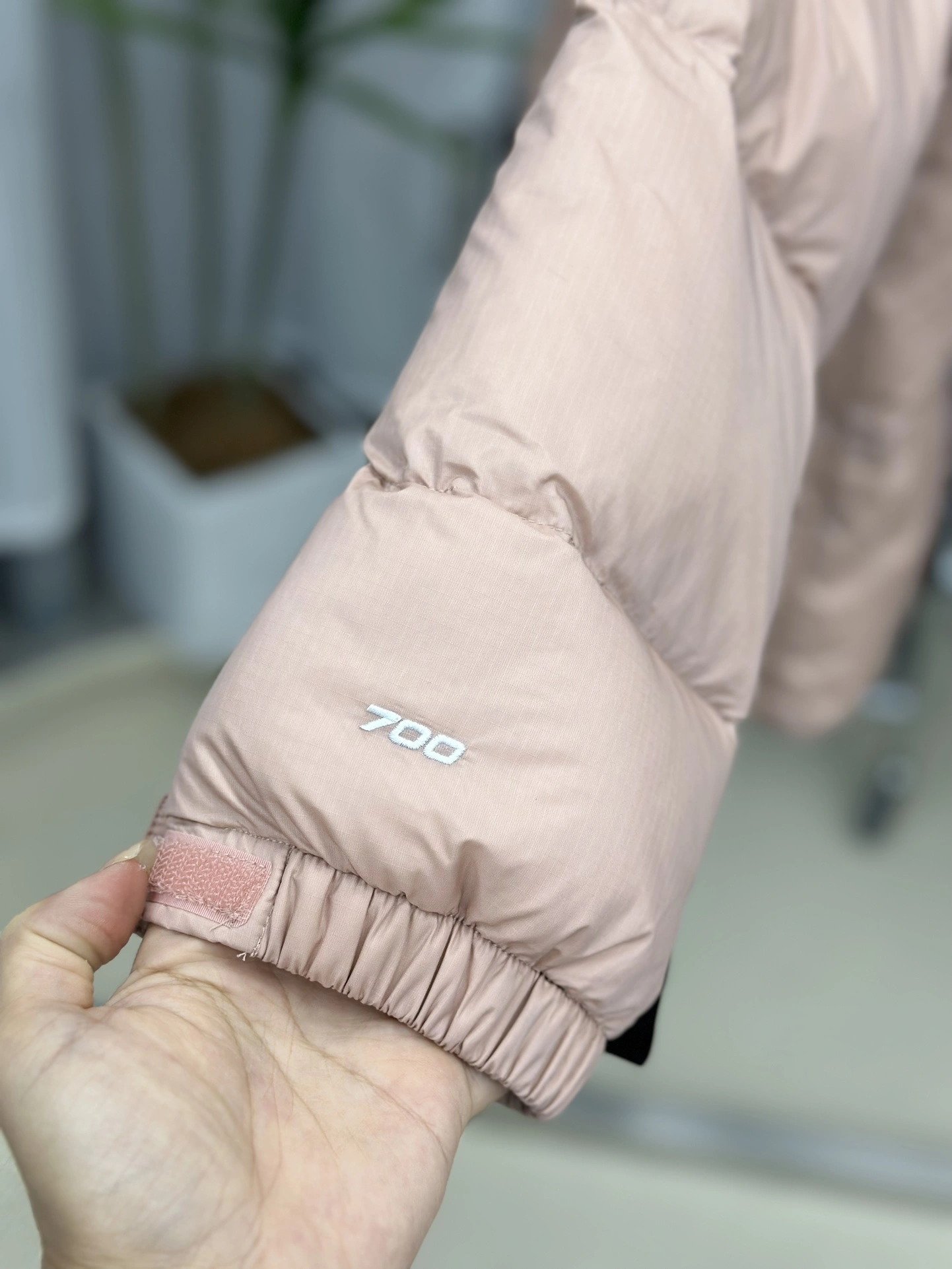 Official The North Face Down Jackets