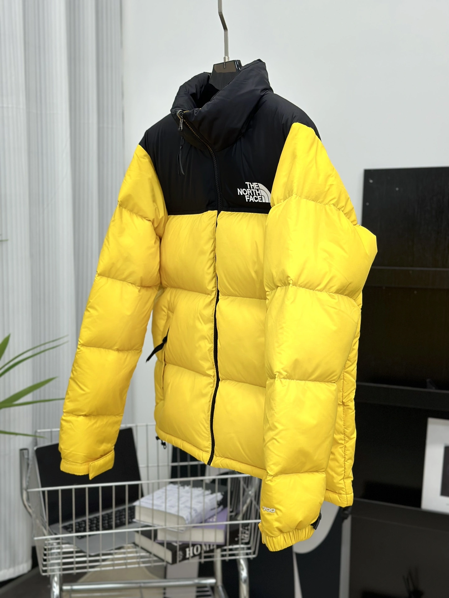 Top match The North Face Down Jackets