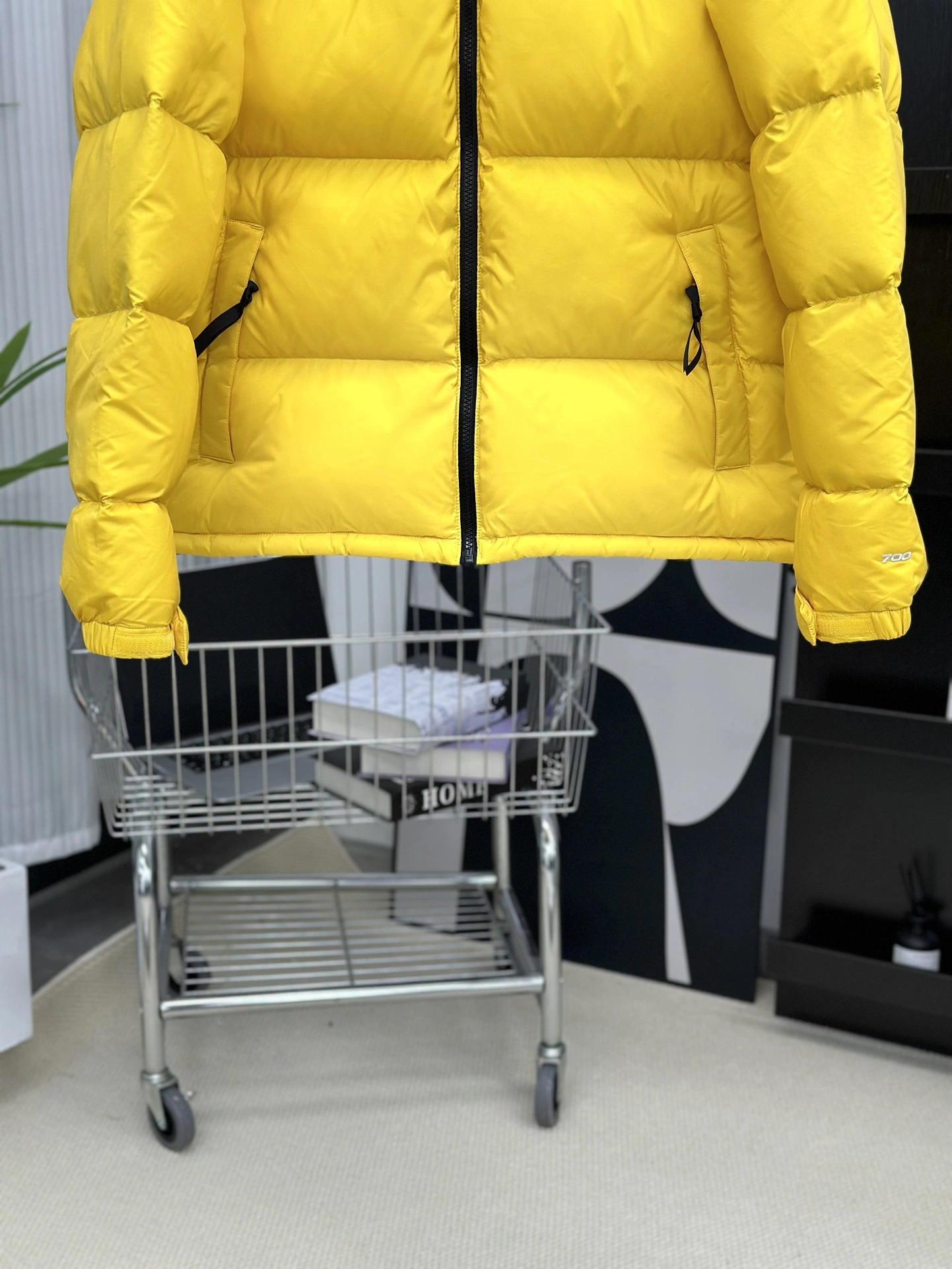 Top match The North Face Down Jackets