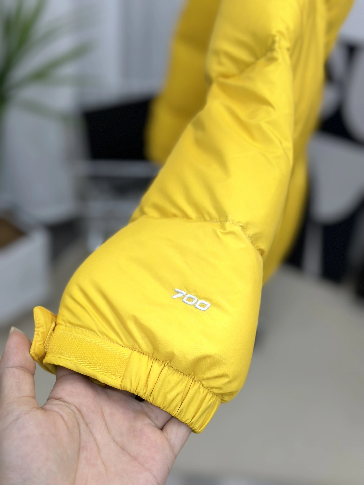 Top match The North Face Down Jackets