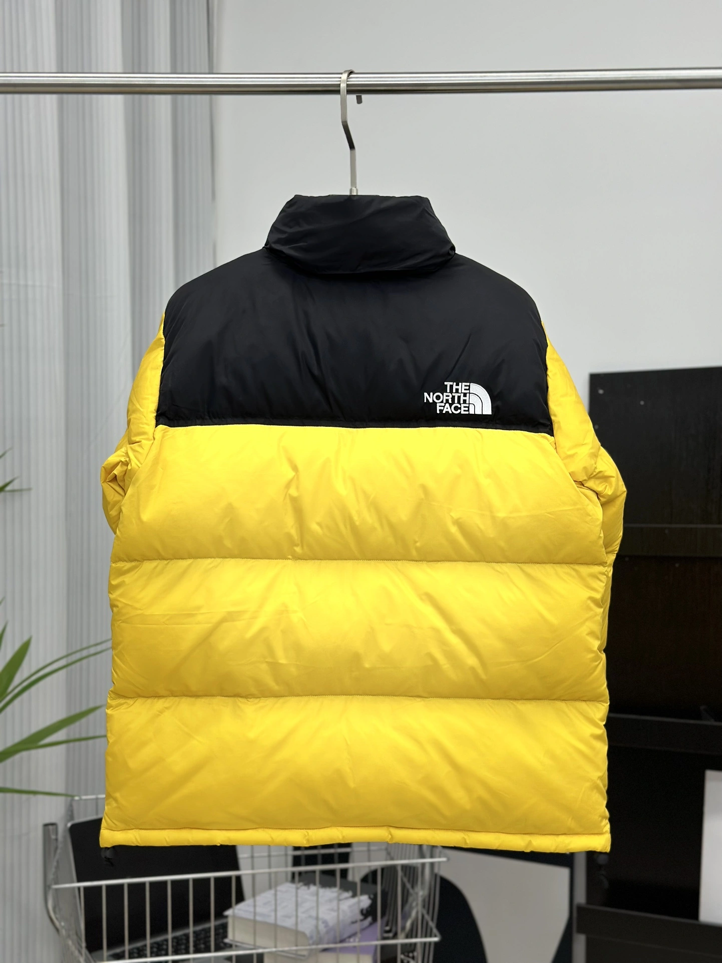 Top match The North Face Down Jackets