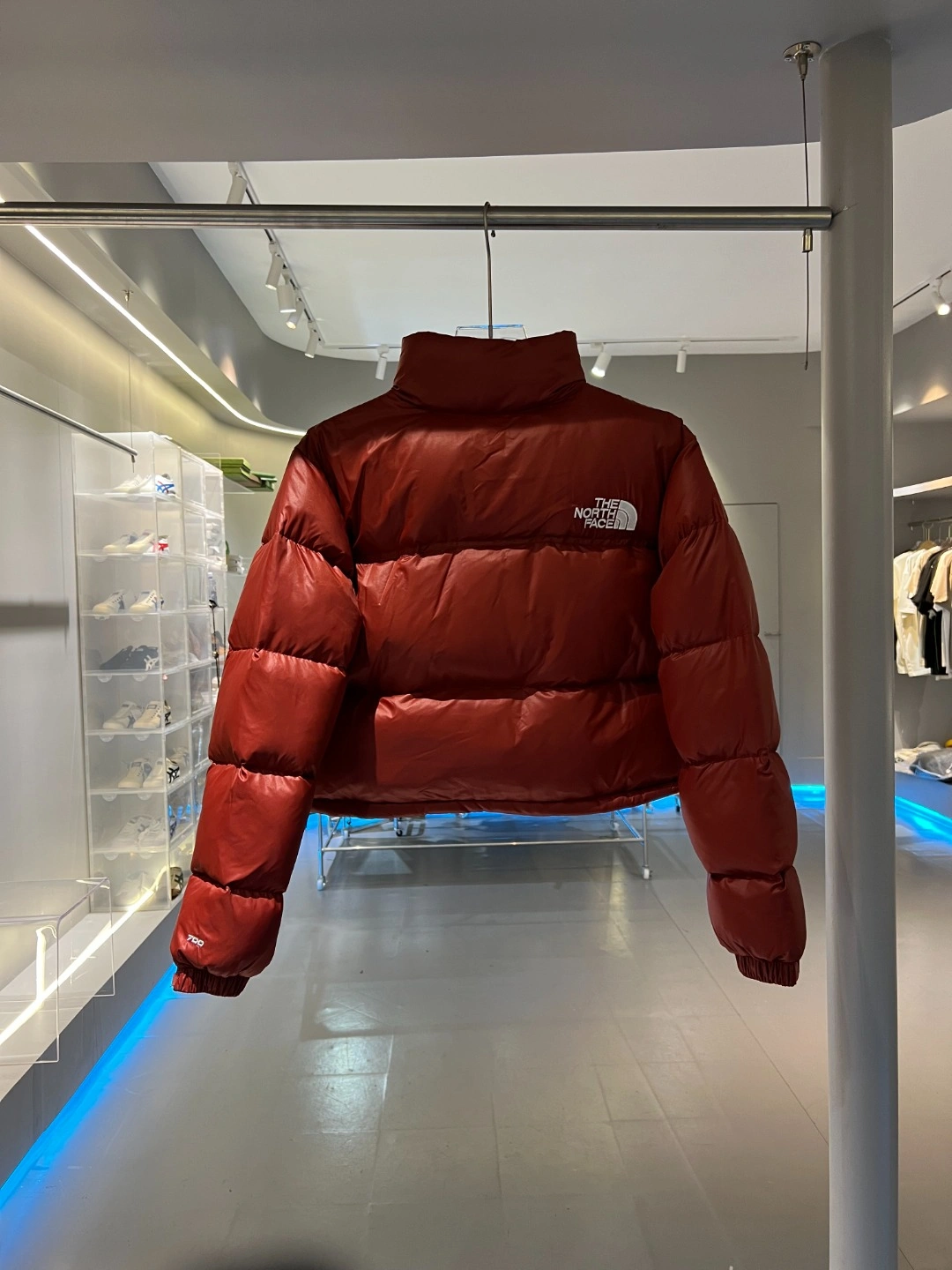 Accurate model The North Face Down Jackets