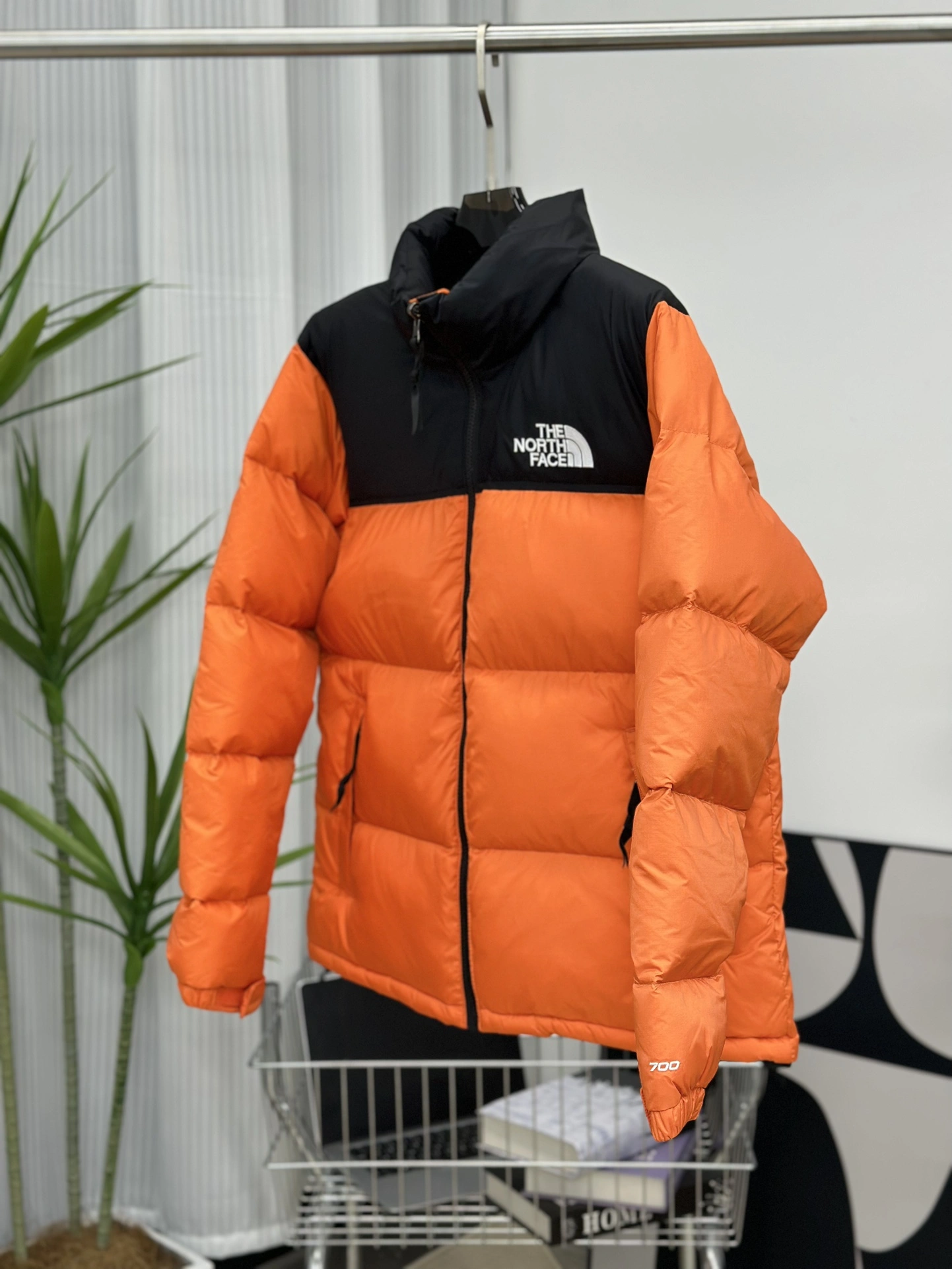 Official The North Face Down Jackets