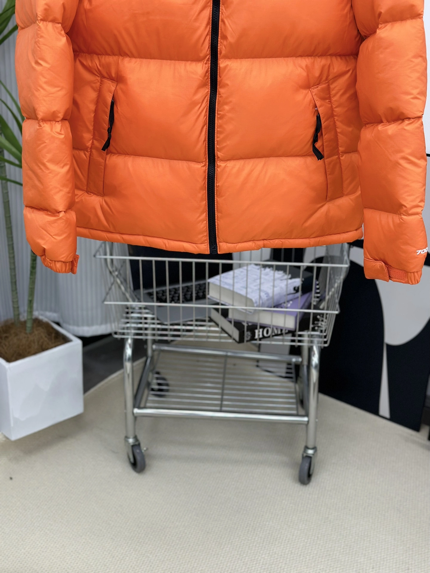 Official The North Face Down Jackets