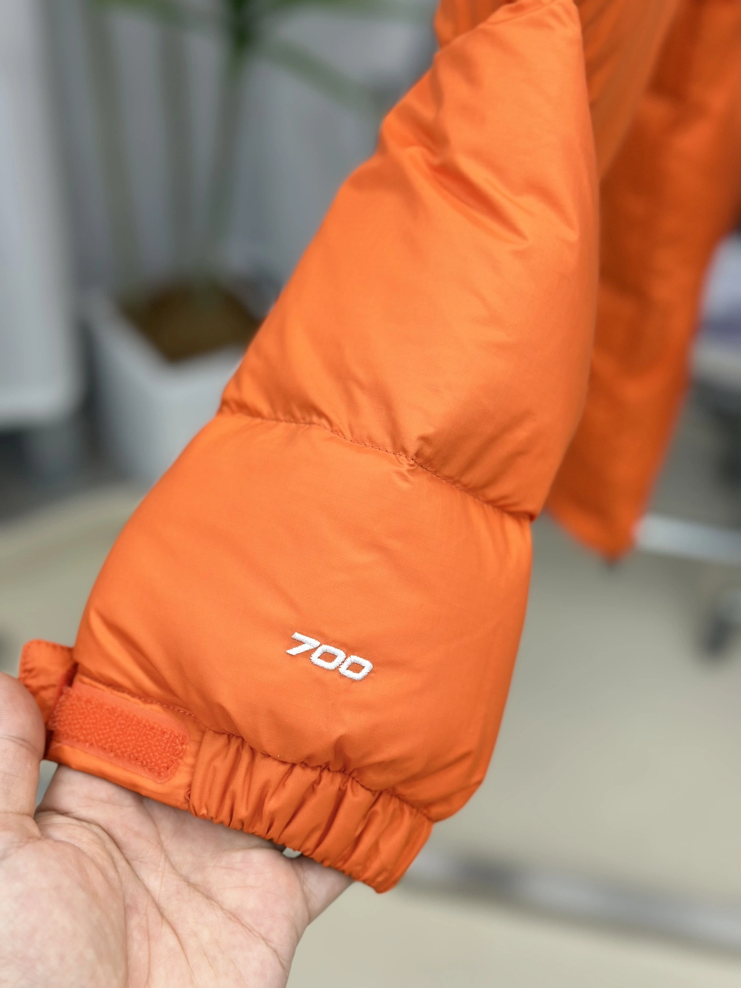 Official The North Face Down Jackets