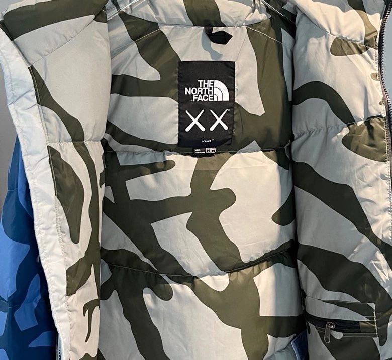 Economical The North Face Down Jackets