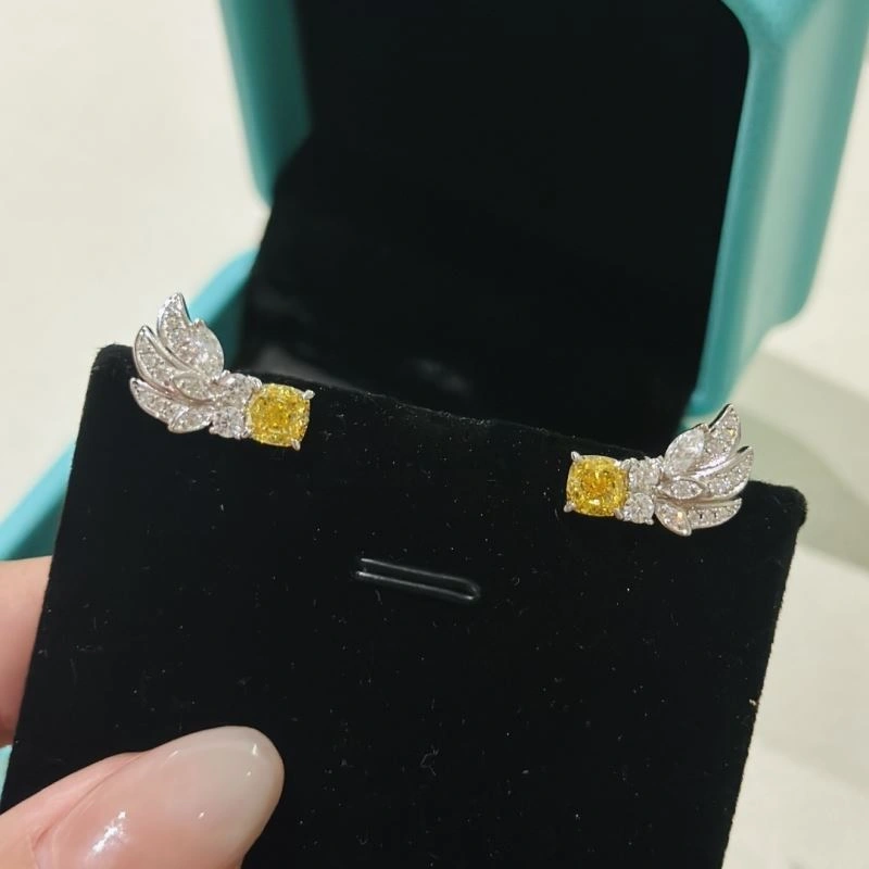 Value-priced Tiffany Earrings