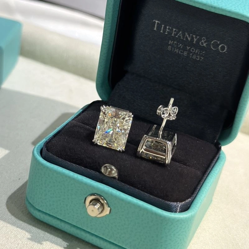 Value-priced Tiffany Earrings
