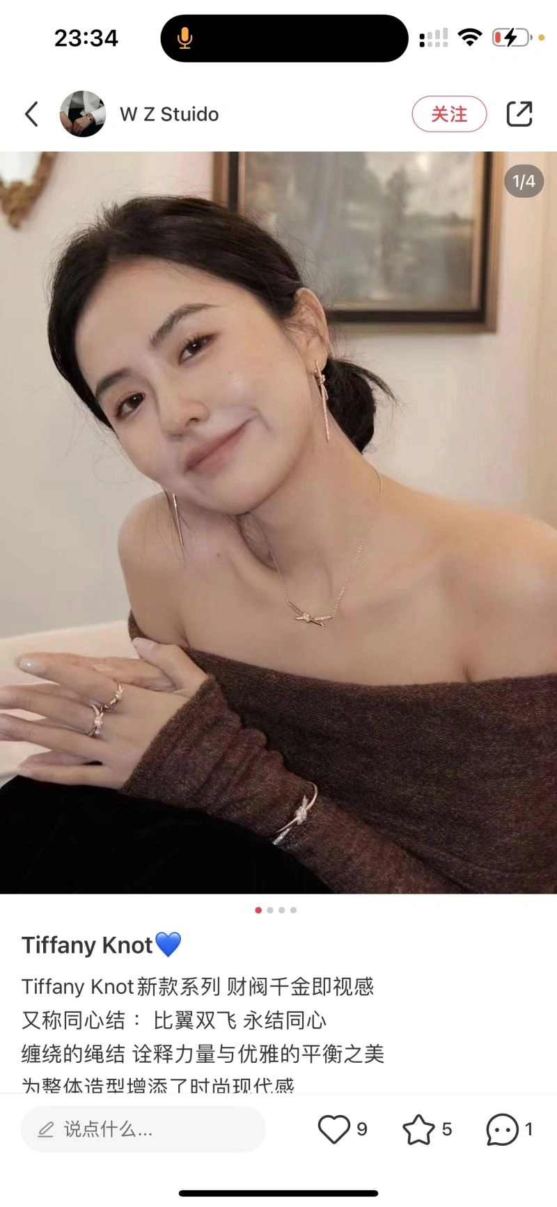 Precise copy Tiffany Earrings