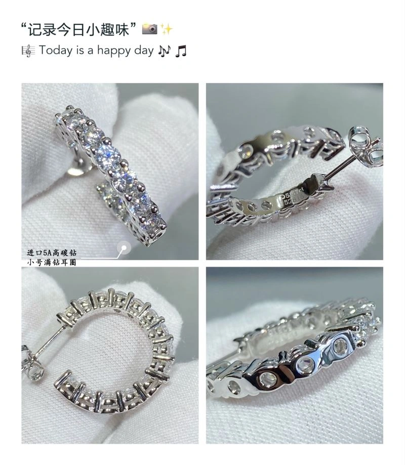 OEM Tiffany Earrings