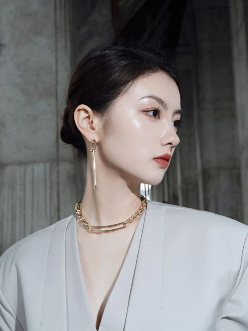 Budget-friendly Tiffany Earrings