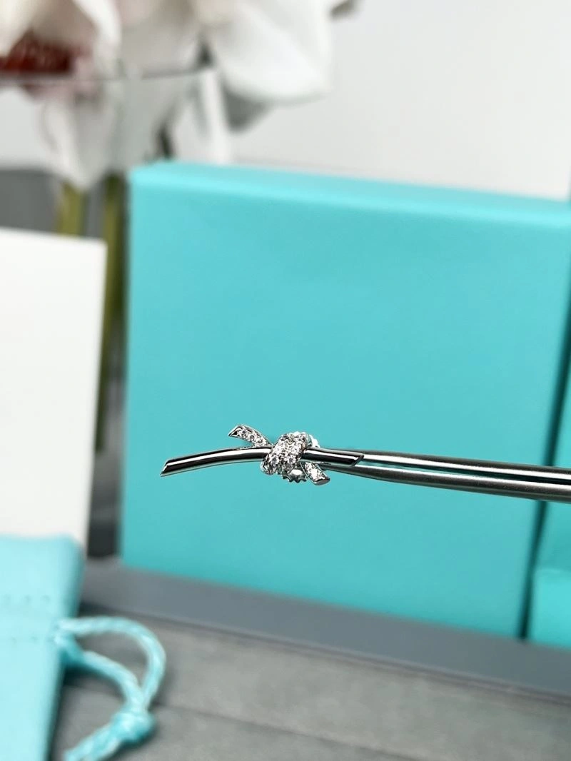 Cut-rate Tiffany Earrings