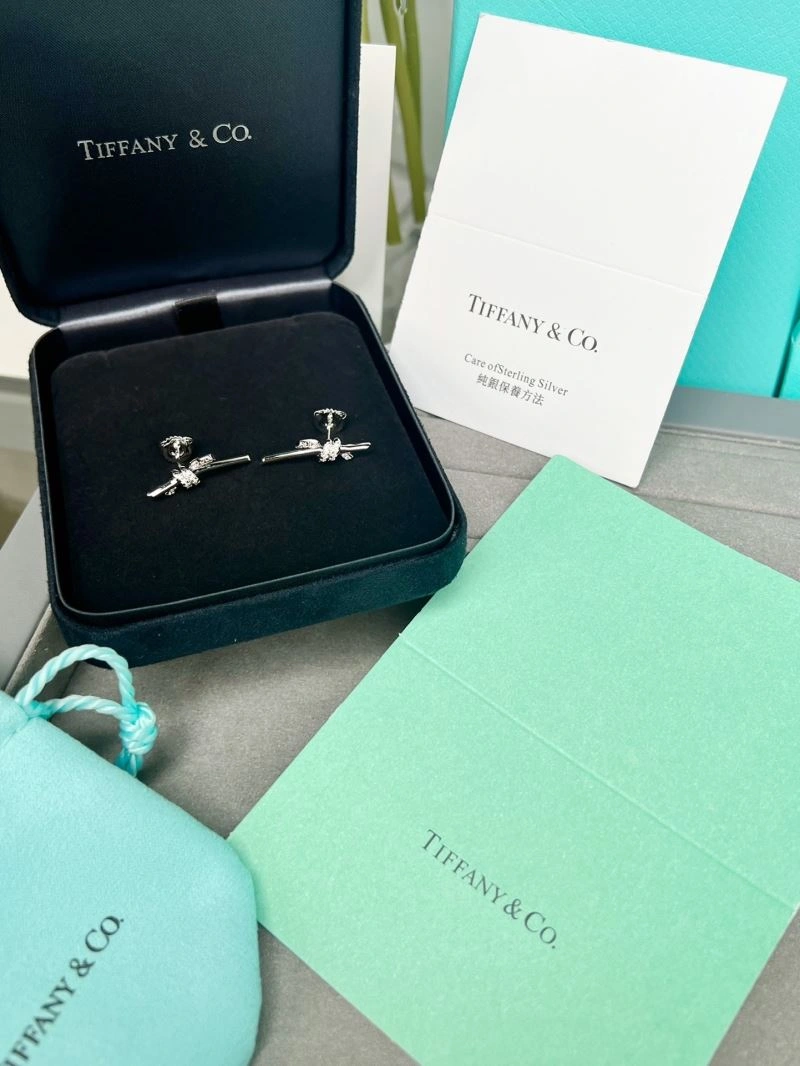 Cut-rate Tiffany Earrings