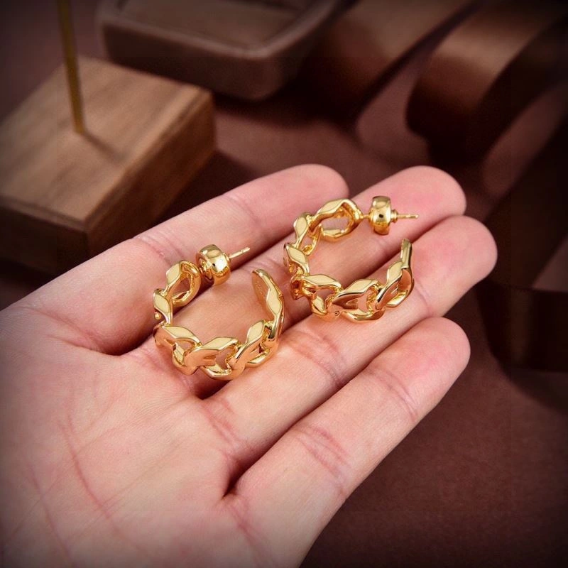 Mirror quality Tiffany Earrings