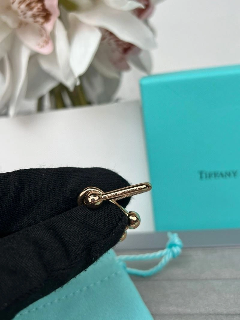 Discounted Tiffany Earrings