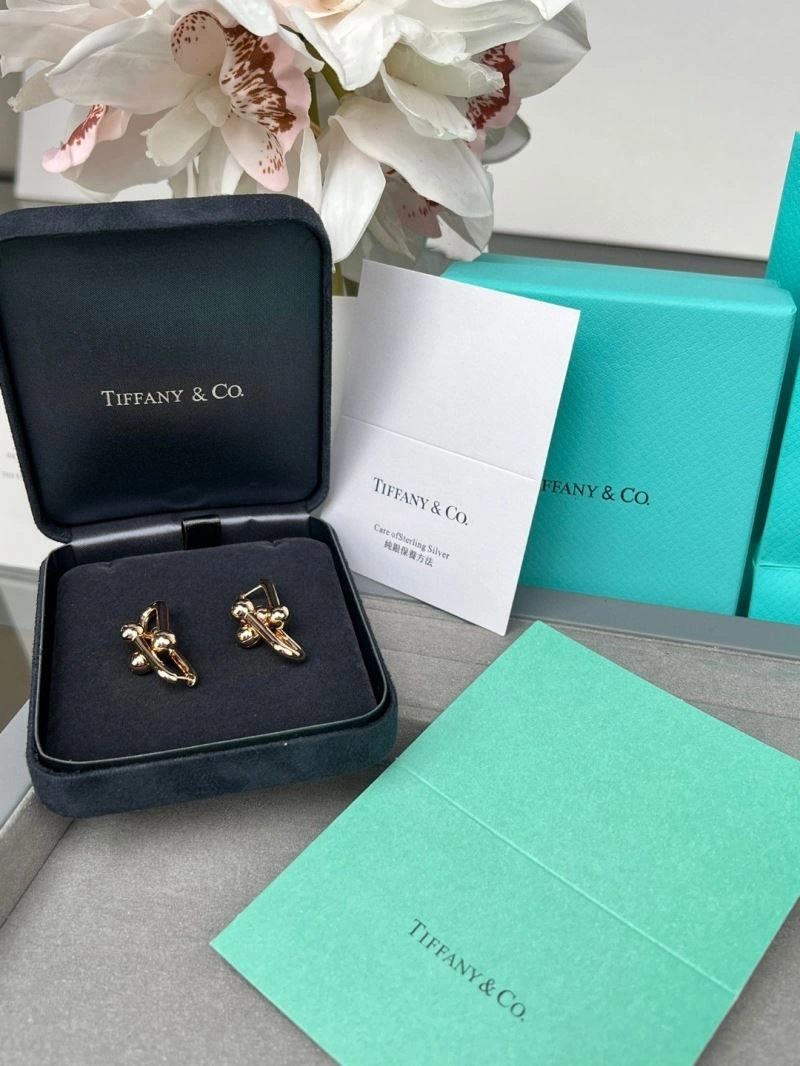 Precise copy Tiffany Earrings