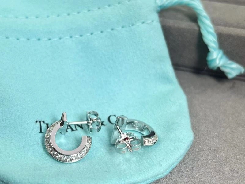 High fidelity Tiffany Earrings