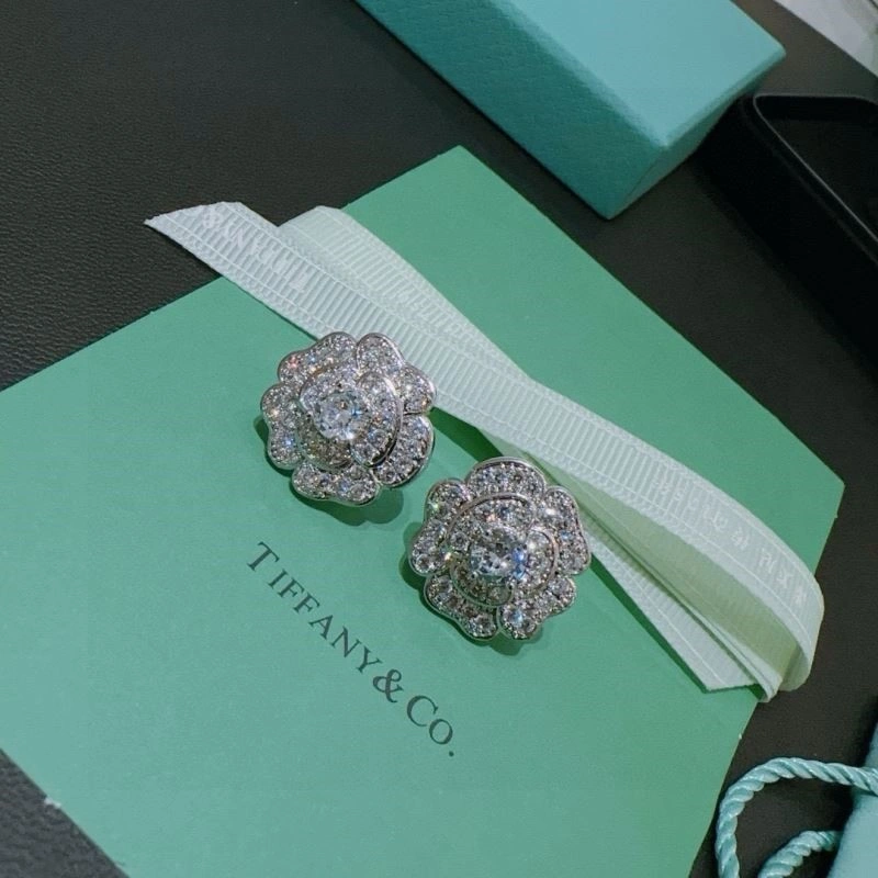 Discounted Tiffany Earrings