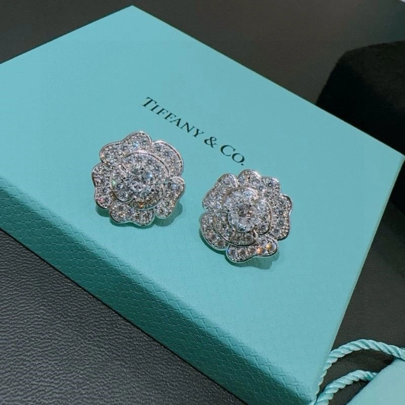 Discounted Tiffany Earrings