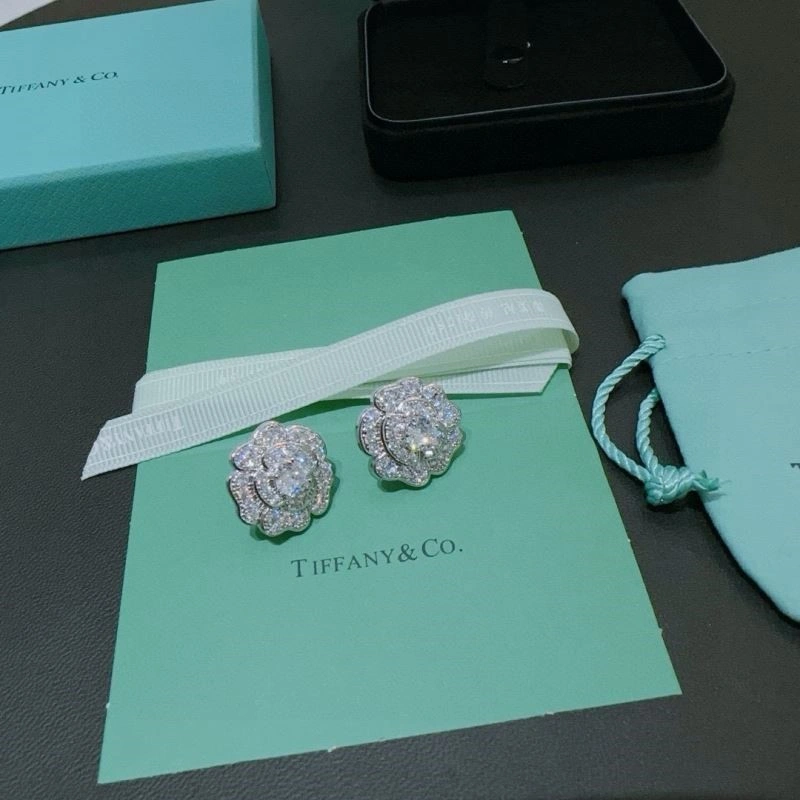 Discounted Tiffany Earrings