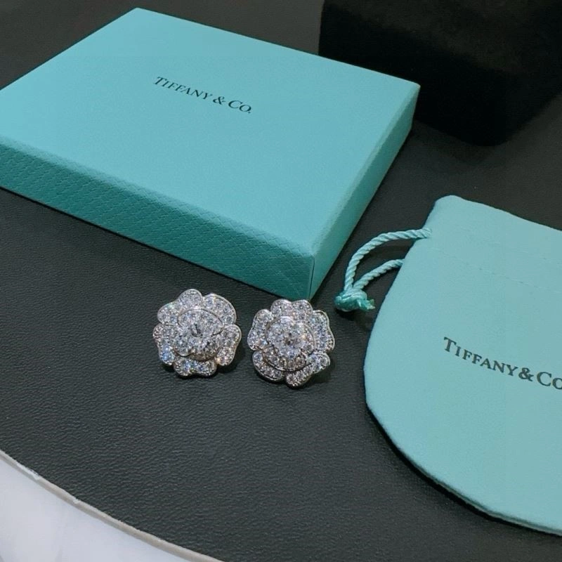 Discounted Tiffany Earrings